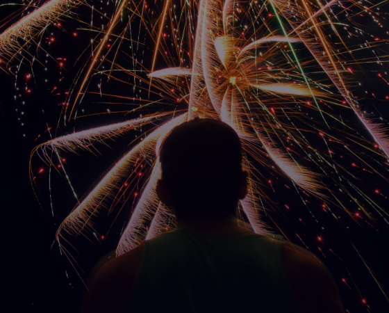 2024 at Mobilise - Highlights and Milestones - Mobilise Global